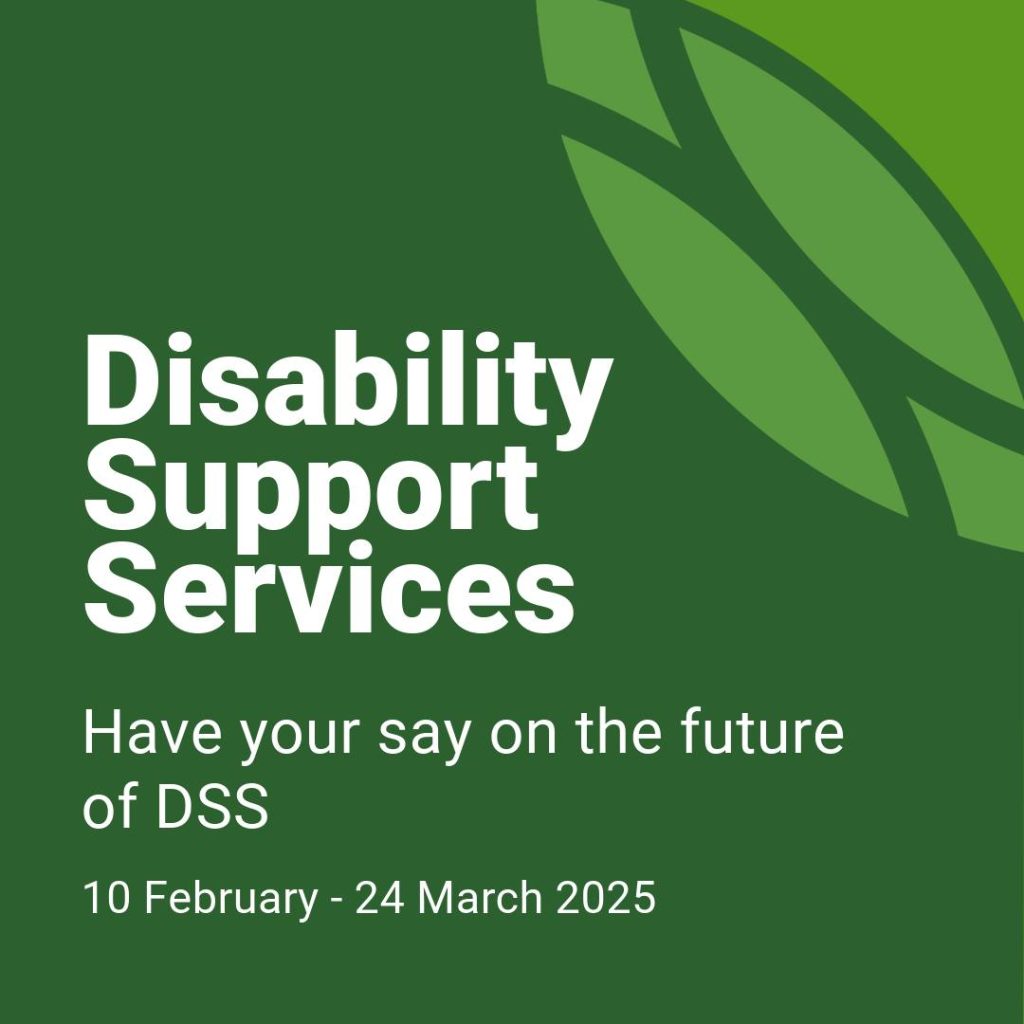 Disability Support Services’ community consultation - Cerebral Palsy ...